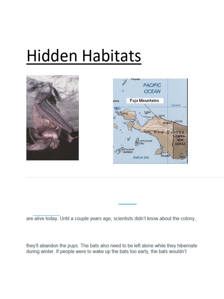 Hidden Habitats Worksheet | PDF | Bat