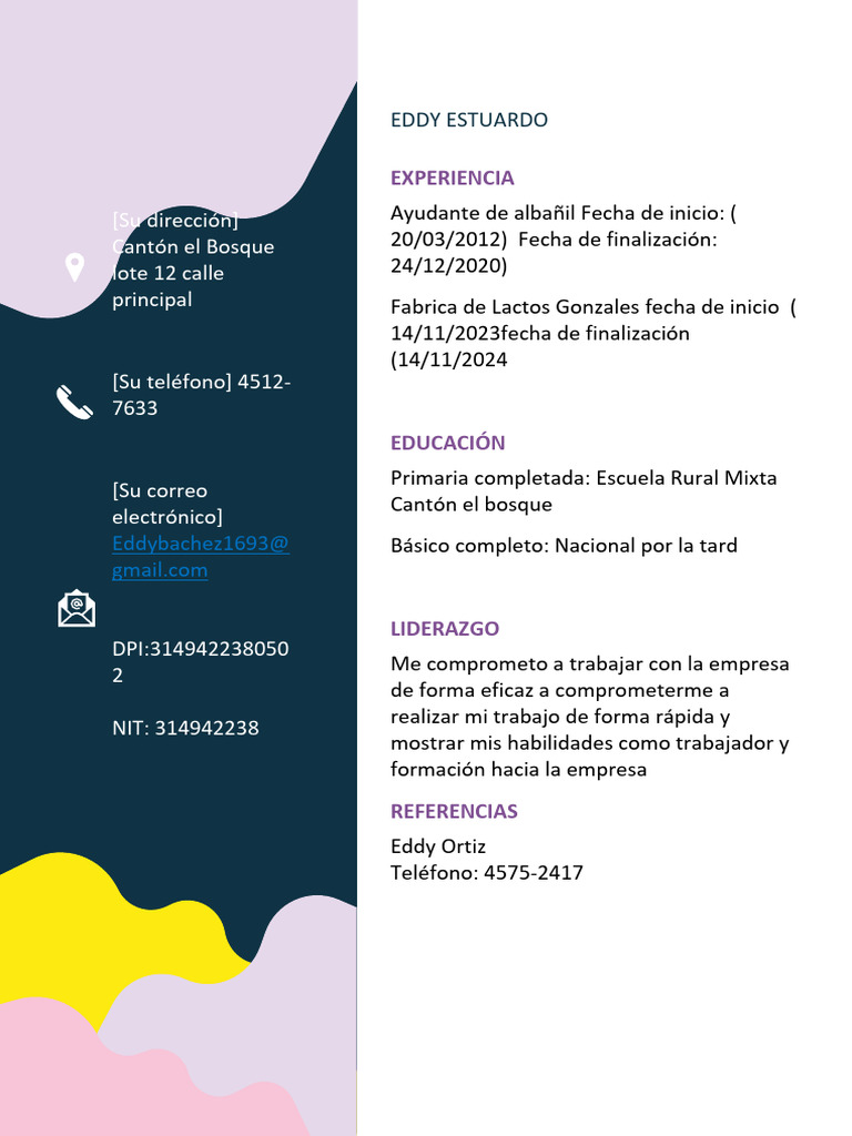 Curriculum Eddy Estuardo | PDF