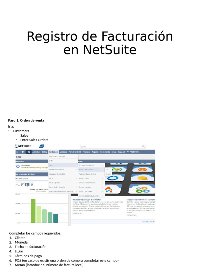 Registro de Facturación en NetSuite | PDF