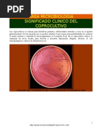 Coprológico Funcional | PDF | Heces | Diarrea