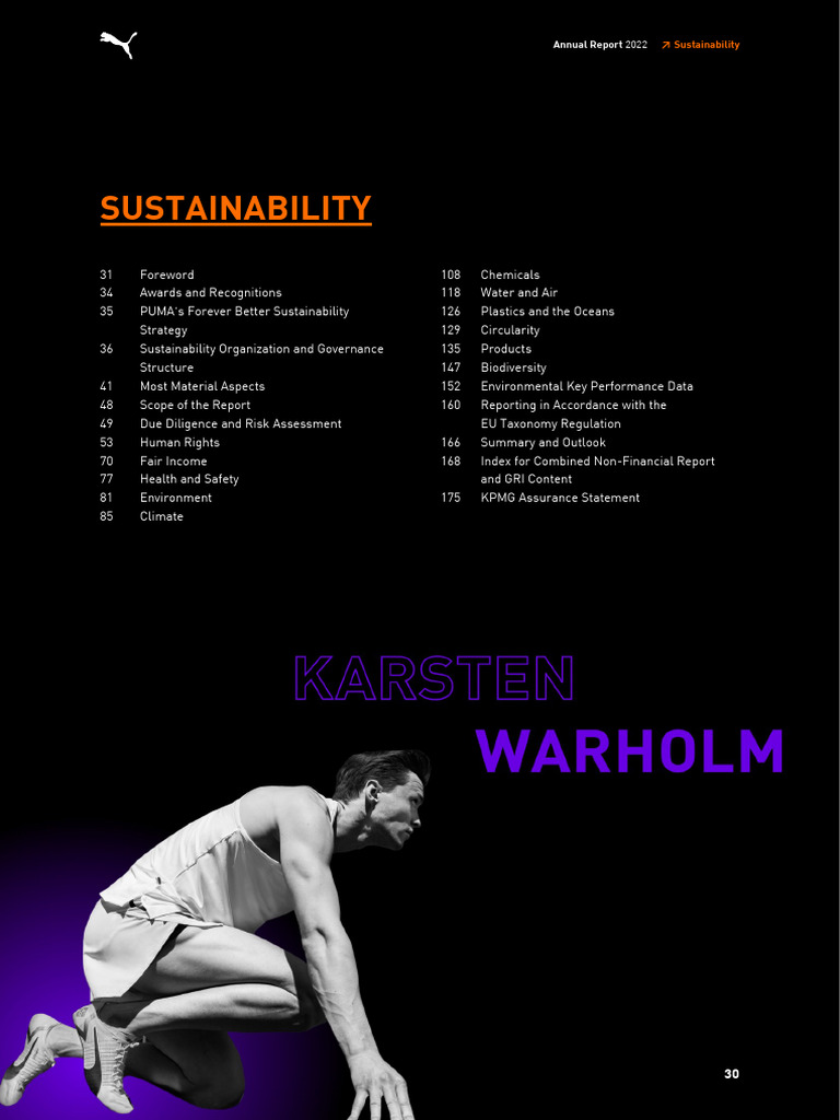 Puma Ar 2022 Sustainability | PDF | Risk | Sustainability