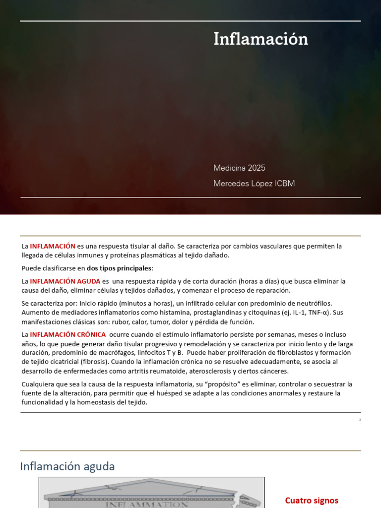 Inflamaci_n_2025_17_marzo | PDF | Inflamación | Sistema inmune