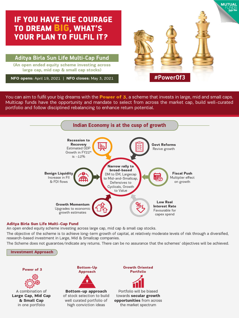 ABSL Multi Cap - One Pager | PDF | Investing | Investor