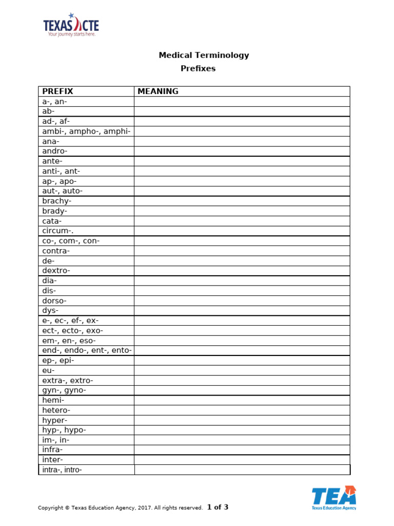 Medical Terminology Prefix | PDF