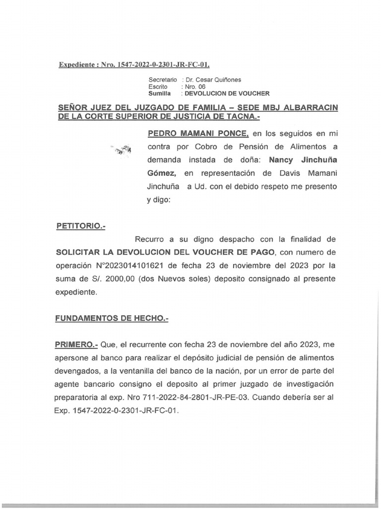 Devolucion de Voucher | PDF