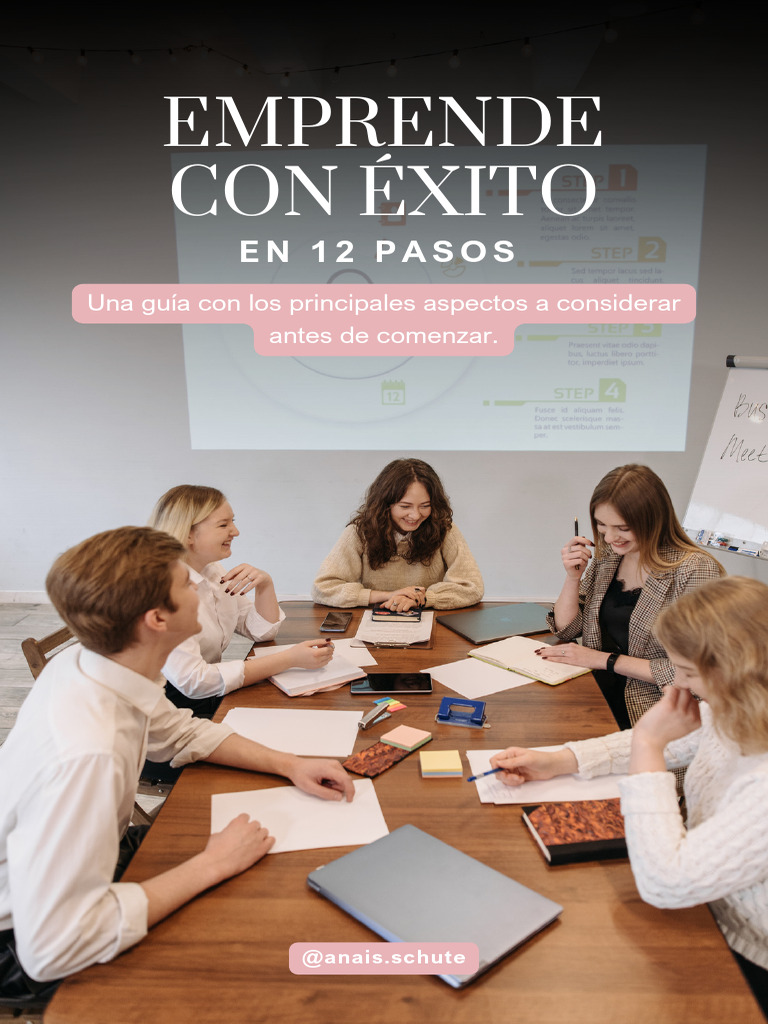 Emprende Con Éxito en 12 Pasos | PDF | Iniciativa empresarial | Economias