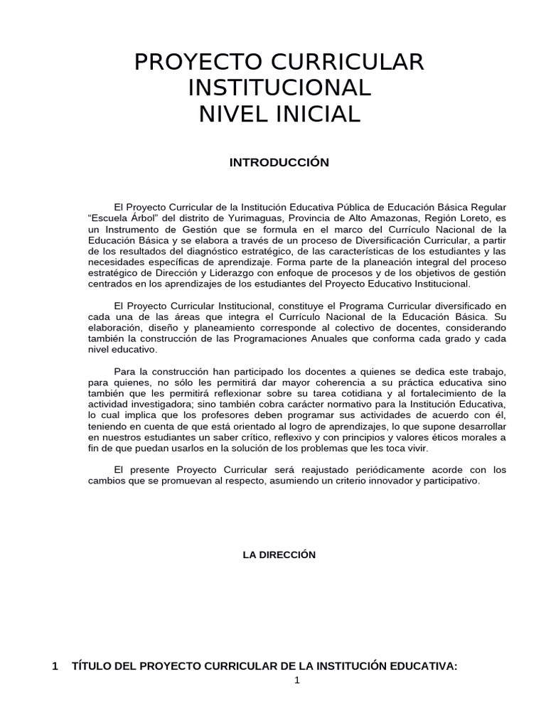 Pci Inicial | PDF | Enseñando | Plan de estudios