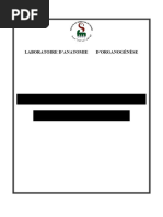 Anatomie des reins et leur vascularisation | PDF | Rein | Foie