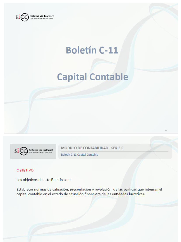 02 Nif C-11 Capital Contable | PDF