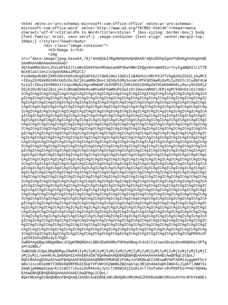 JPG to Word Conversion Guide | PDF