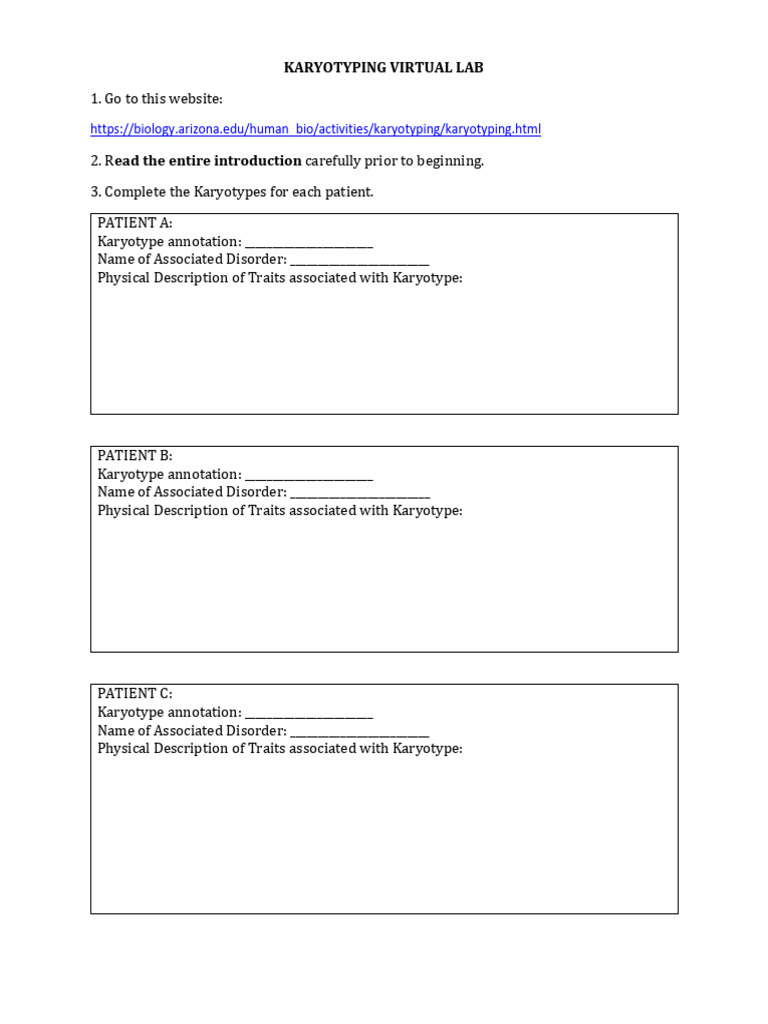 Karyotyping Virtual Lab Instructions | PDF | Point Mutation | Mutation
