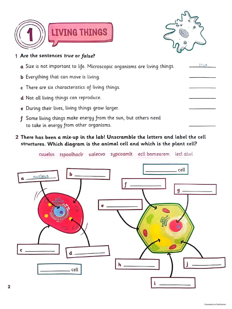 Science Skills AB | PDF