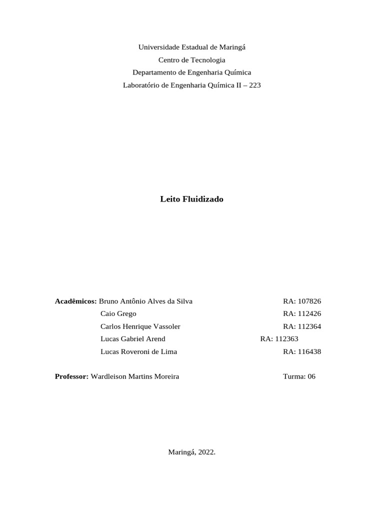 Relatório 4 - Leito Fluidizado | PDF | Mecânica dos fluidos | Turbulência