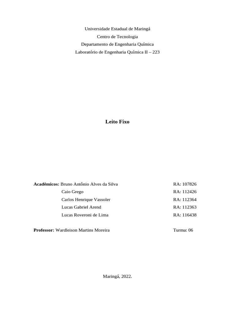 Relatório 5 - Leito Fixo | PDF | Mecânica dos fluidos | Coeficiente de ...