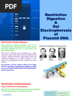 NEBcutter 2.0: Restriction Enzyme Tool | PDF