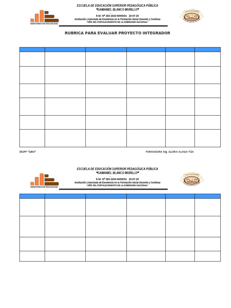 Rubrica para Evaluar Proyecto Integrador | PDF | Aprendizaje | Cognición
