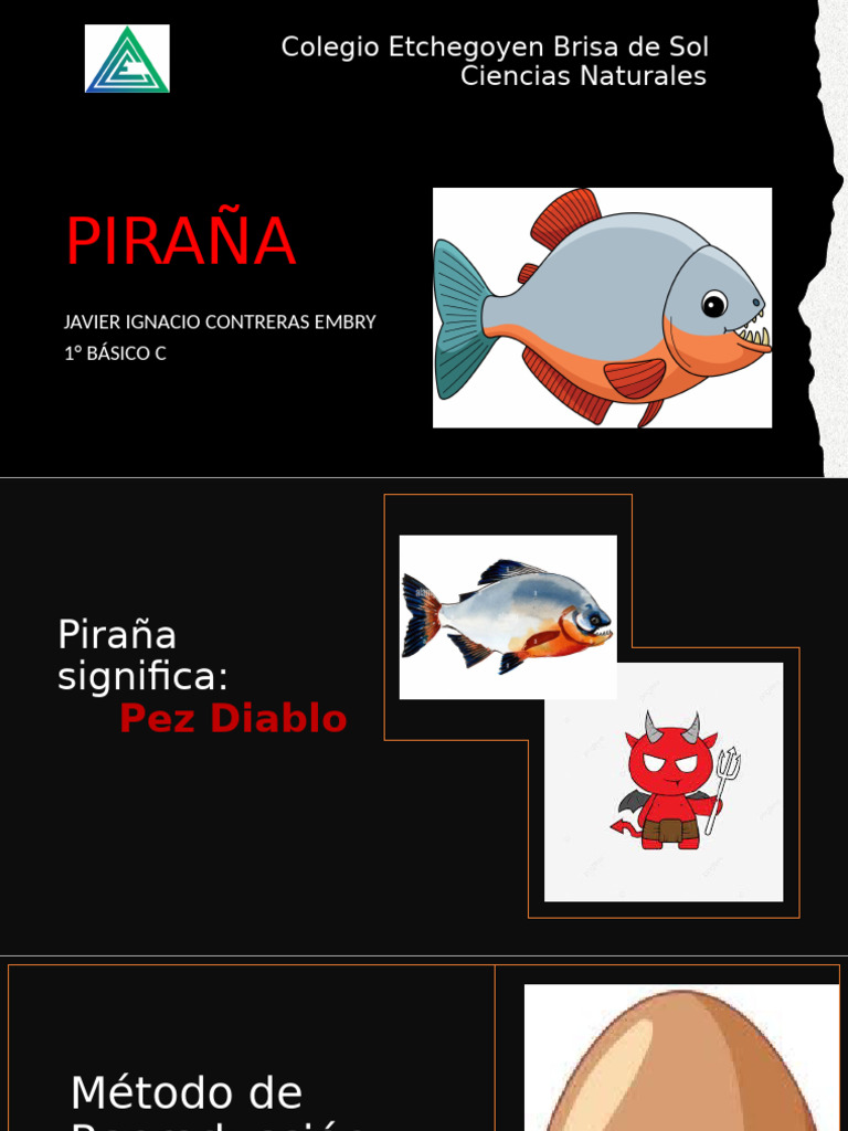 Piraña: Reproducción Ovípara y Hábitat | PDF