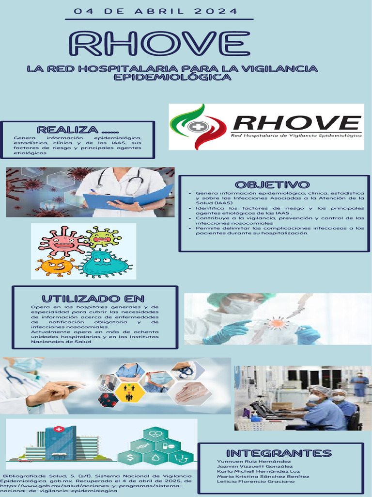 Infografía RHOVE | PDF