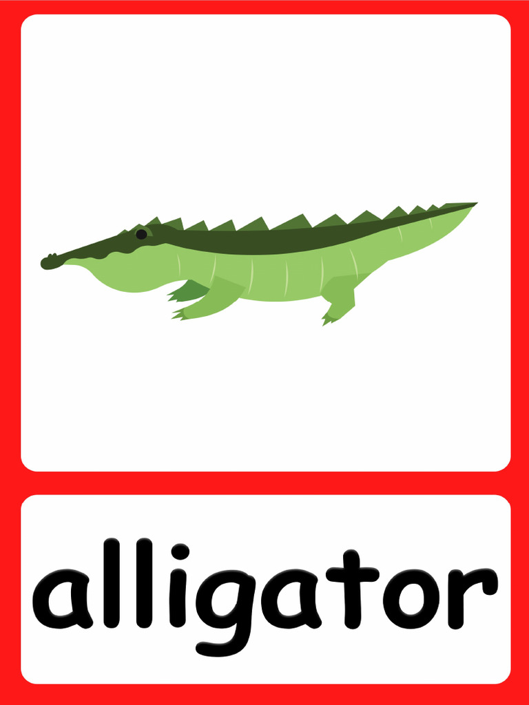 100 Animal Flashcards PACK 1 | PDF