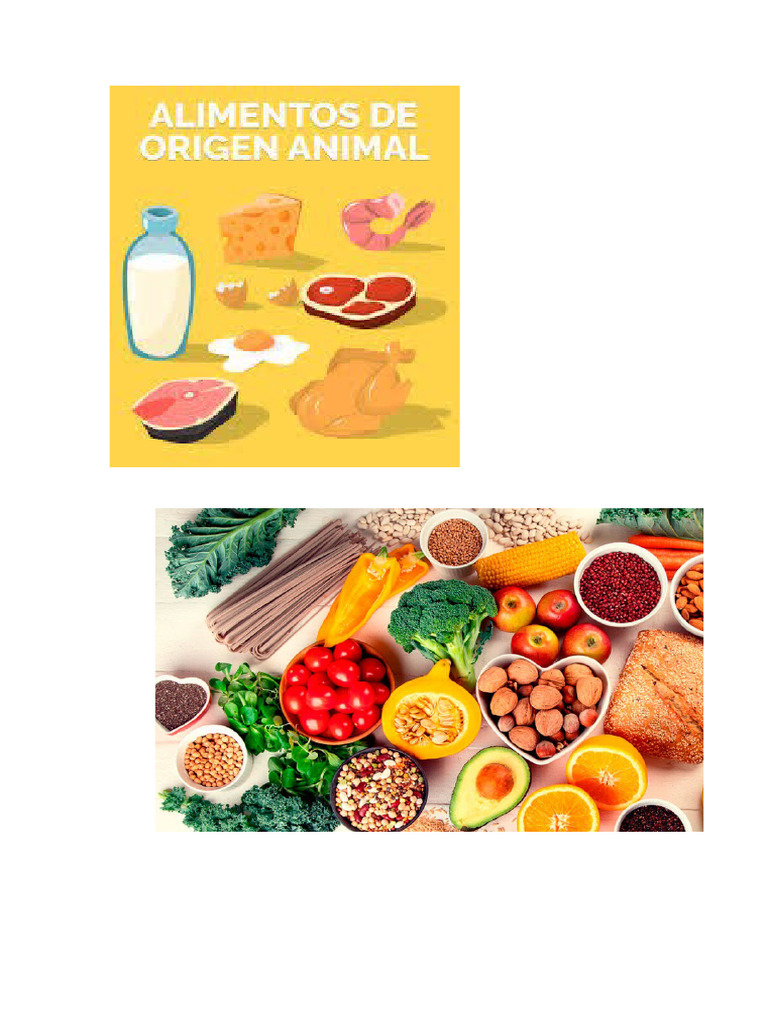 David Ali Mentos | PDF