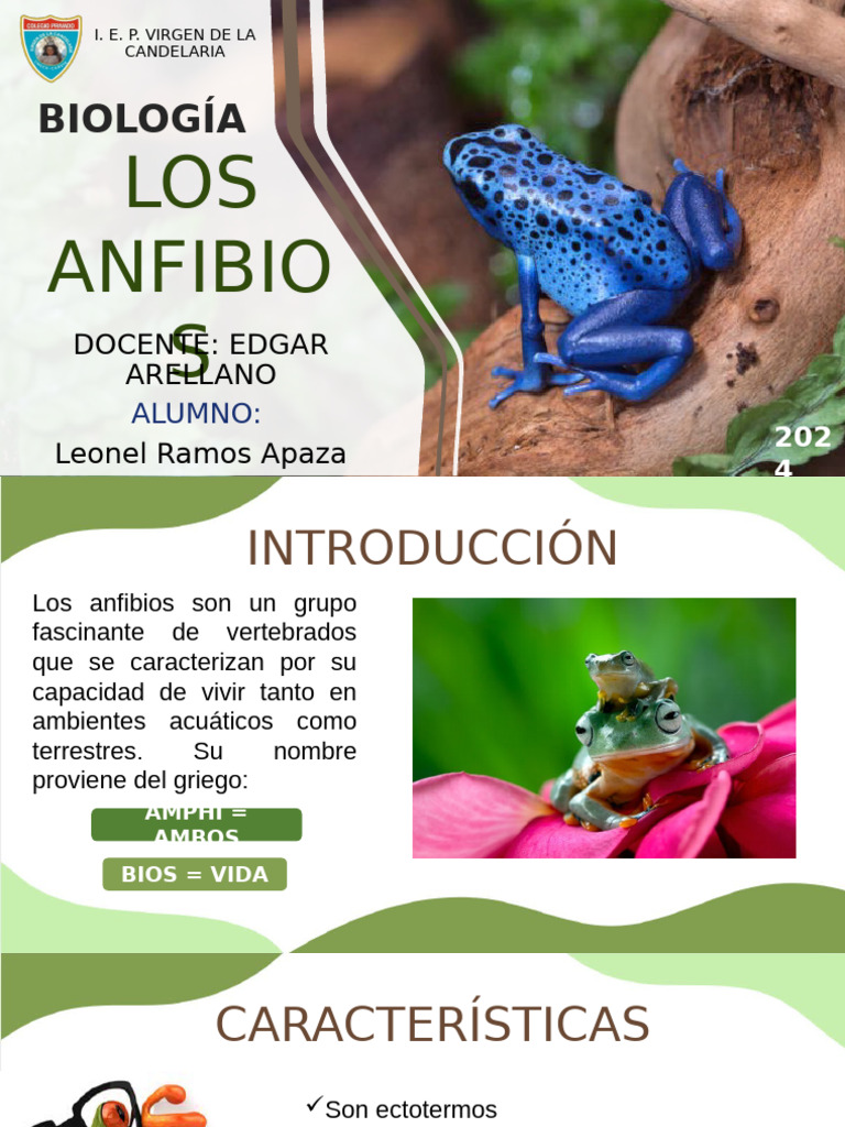 ANFIBIOS | PDF