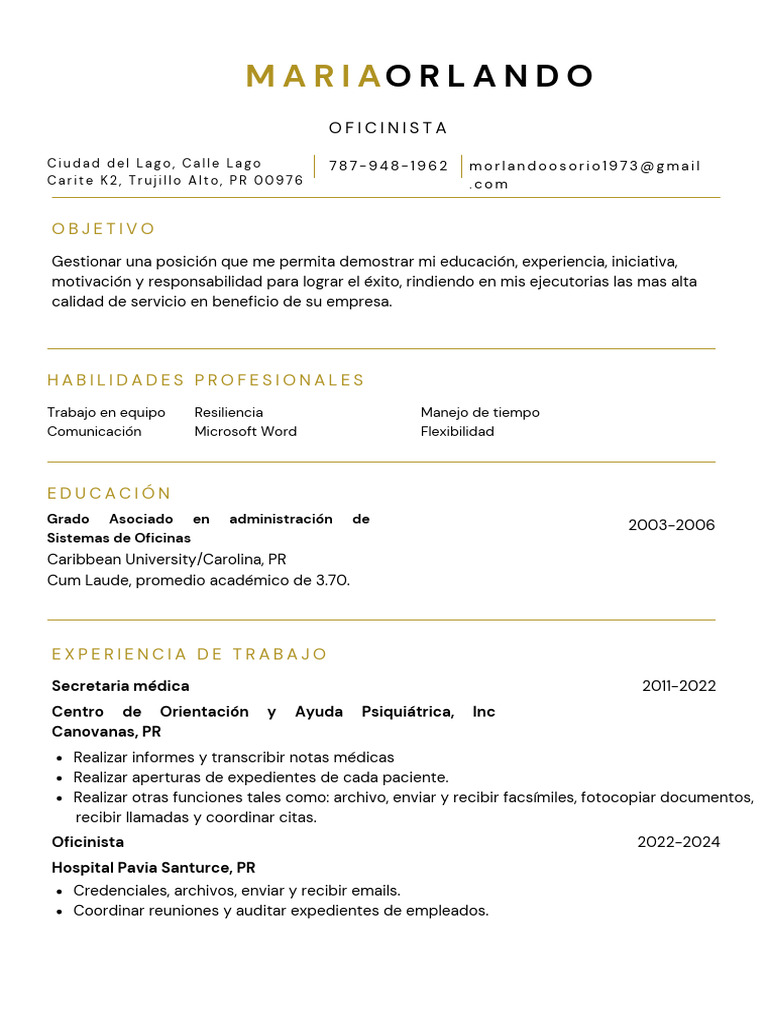 White Gold Elegant Minimalist Data Analyst Resume CV A4 Printable | PDF