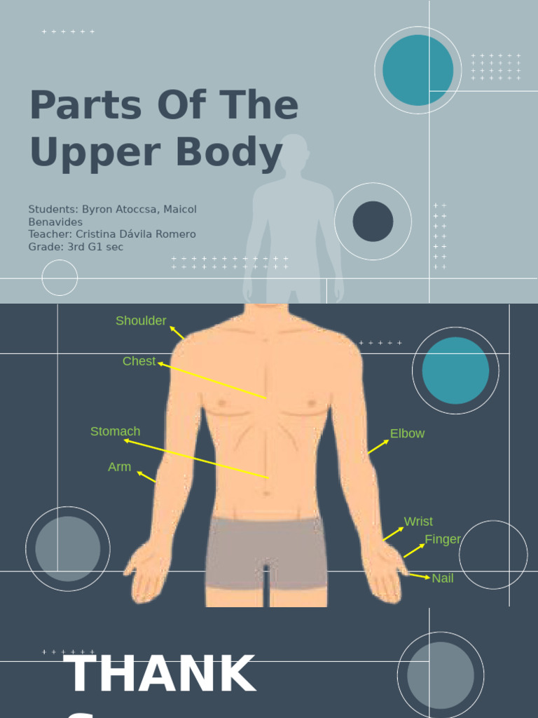 Project - Upper Body Parts | PDF