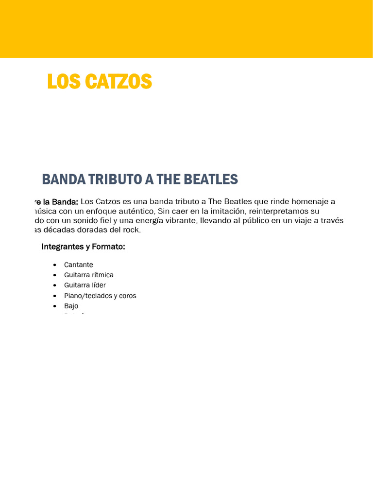 Catzos CV | PDF