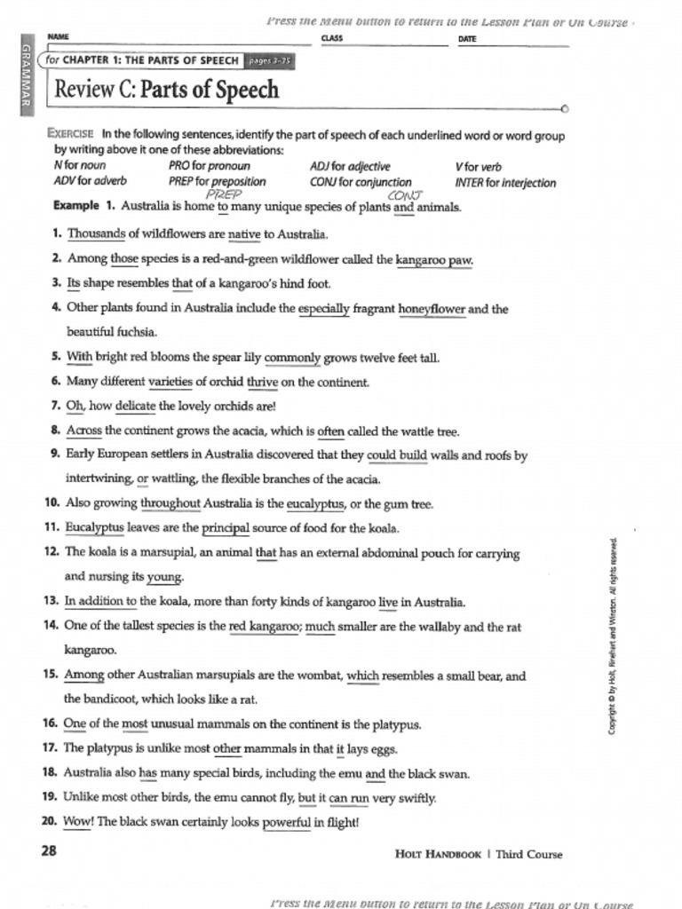 Parts of Speech Worksheet | PDF