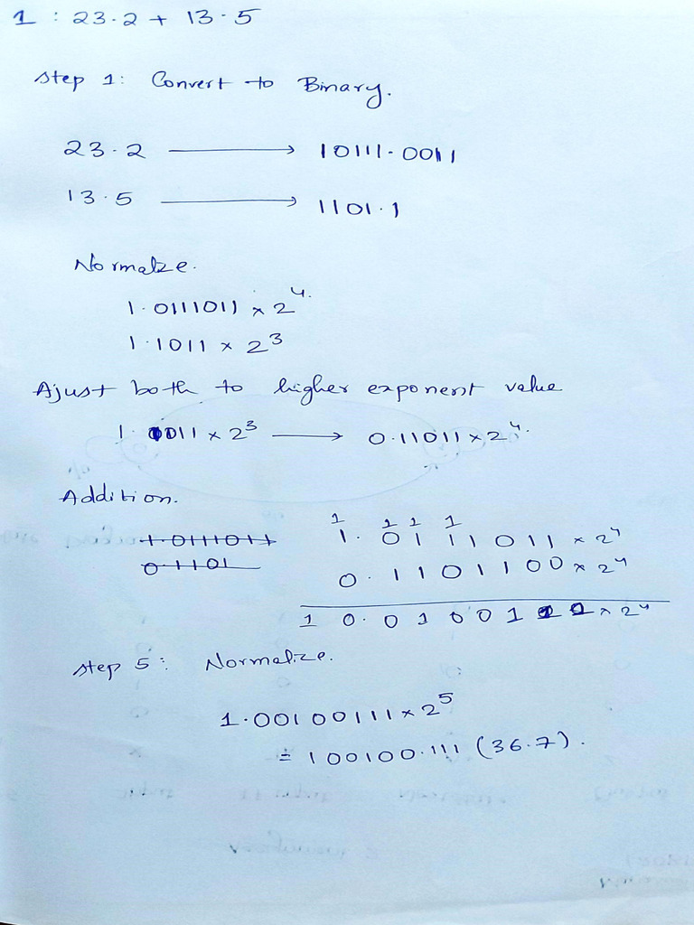 Manaswi (20BPS1019) | PDF