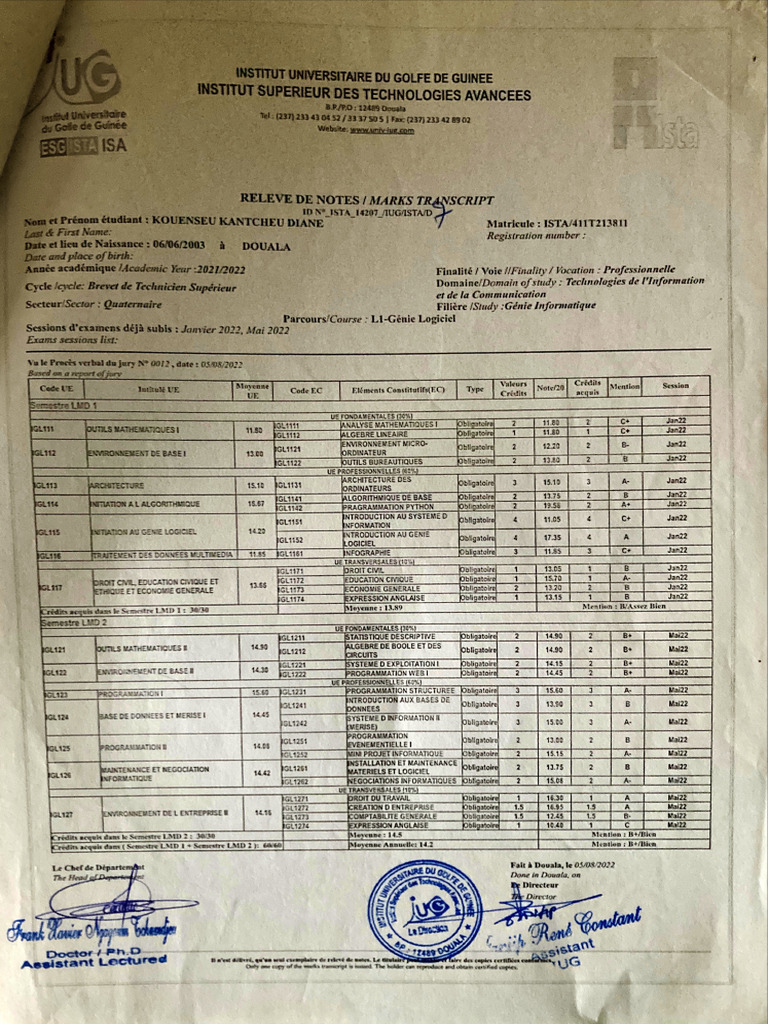 Relevé Niveau 1 | PDF