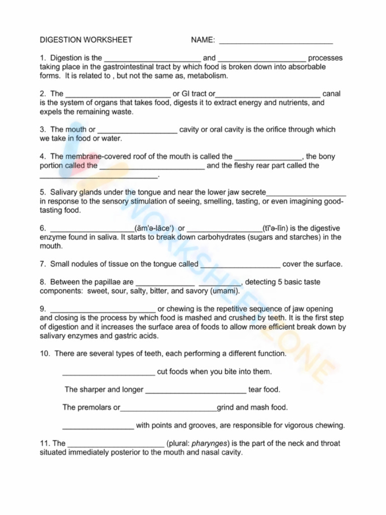 Digestion worksheet | PDF