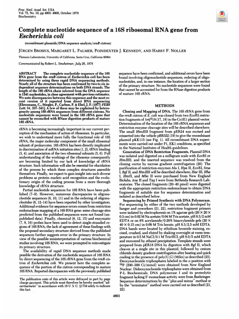 Brosius Et Al 1978 Complete Nucleotide Sequence of A 16s Ribosomal Rna ...