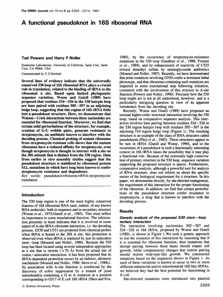 Powers Noller 1991 A Functional Pseudoknot in 16s Ribosomal Rna | PDF | Ribosomal Rna | 16 S ...
