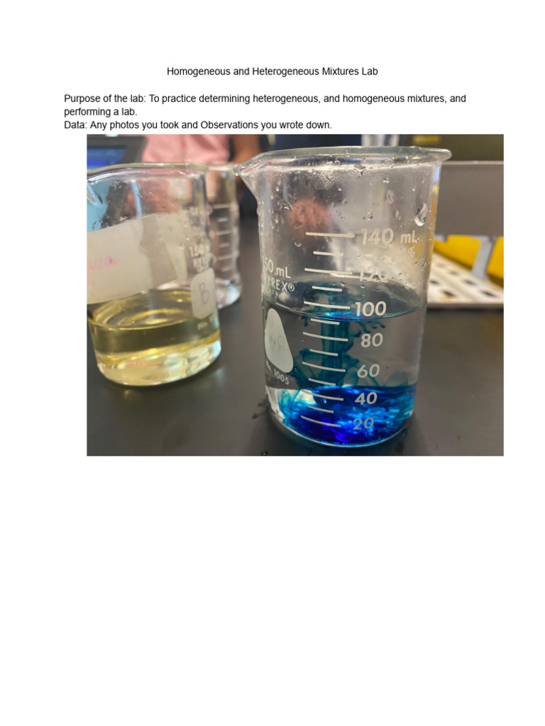Homogeneous and Heterogeneous Mixtures Labette Report | PDF