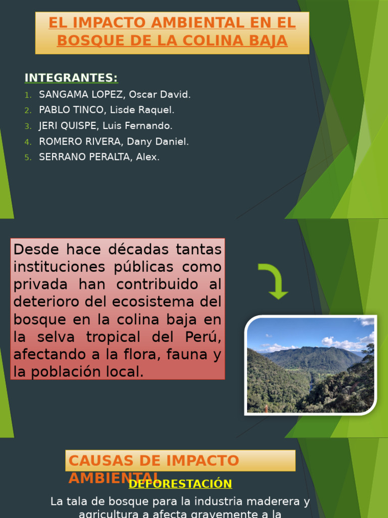 Impacto Ambiental en el Bosque Colina Baja | PDF | Los bosques ...