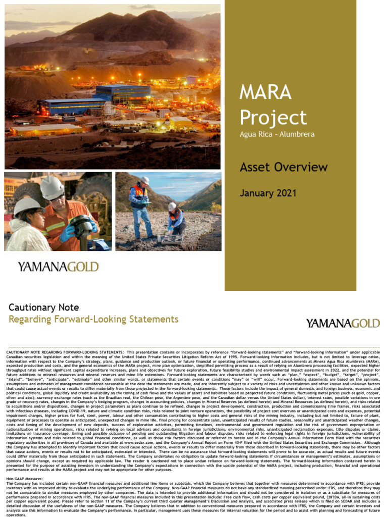 MARA Project Overview and Outlook | PDF | Mining | Risk