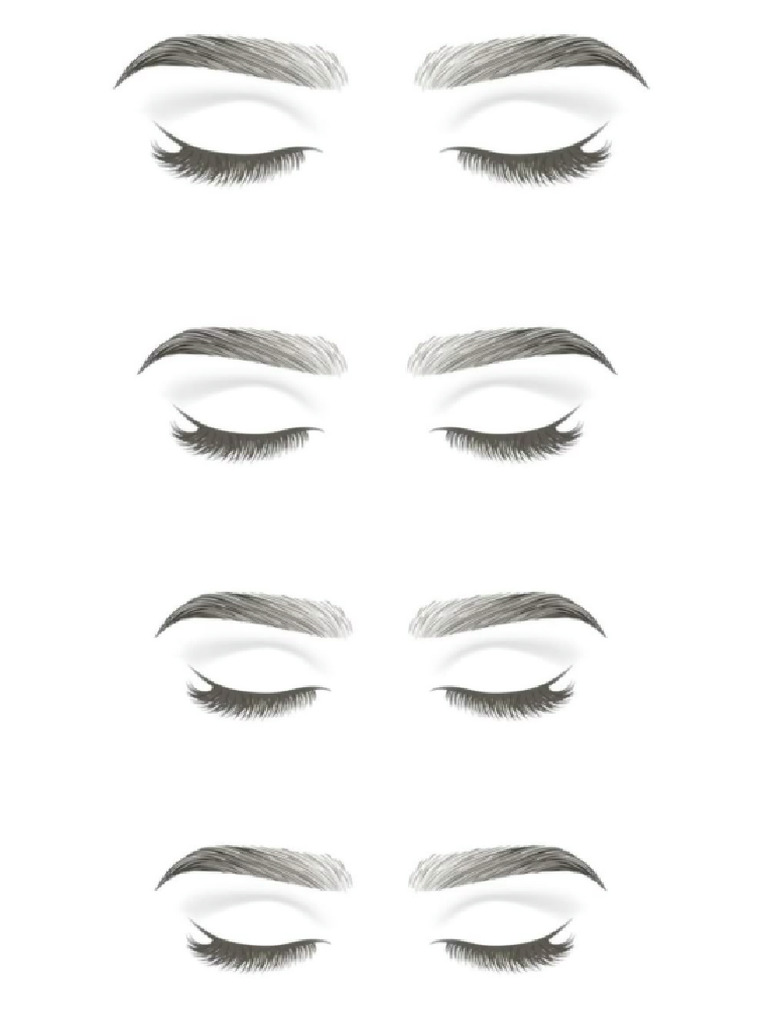 Practica Cejas | PDF