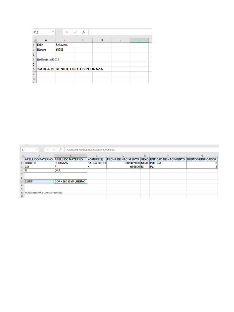 Funcion Concatenar | PDF