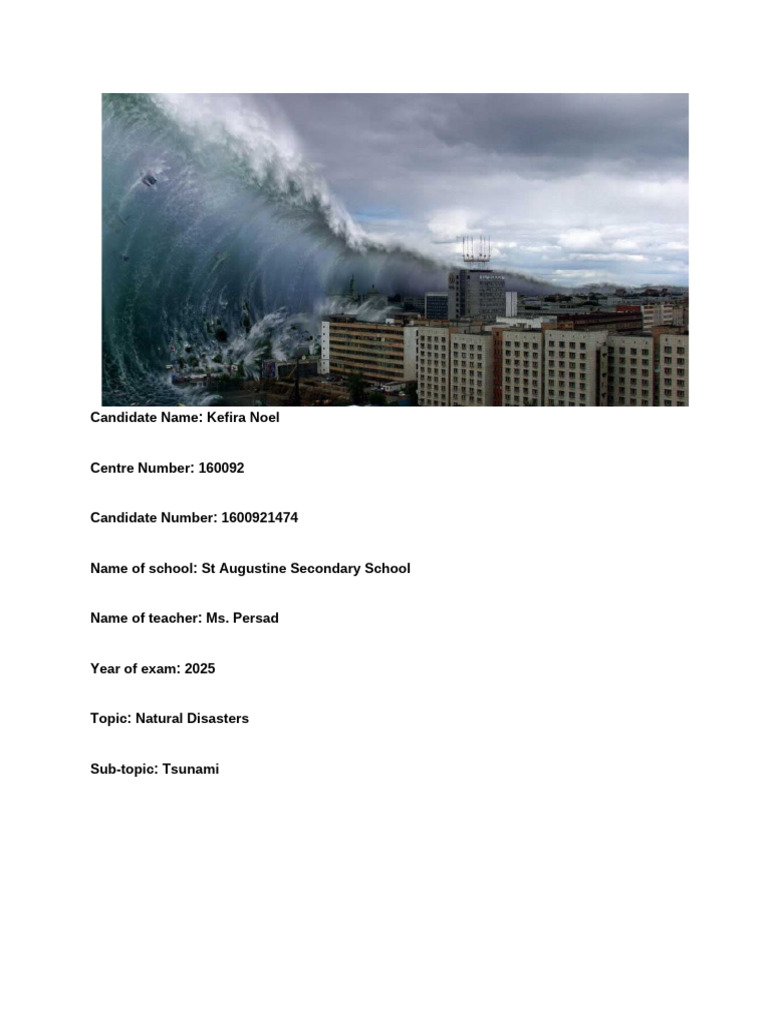 Tsunami Research and Reflections | PDF | Public Speaking | Tsunami