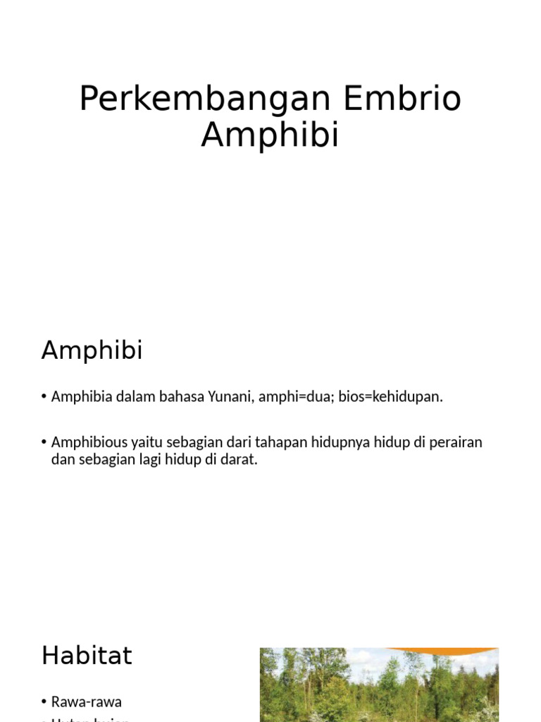 Perkembangan Embrio Amphibi | PDF