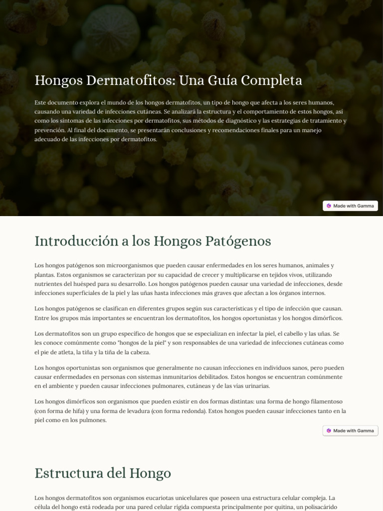 Hongos Patógenos: Dermatofitos y Dibujo | PDF | Hongo | Biología Celular)