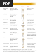 Ángulo de Louis: Anatomía y Función | PDF | Sistema musculoesquelético ...