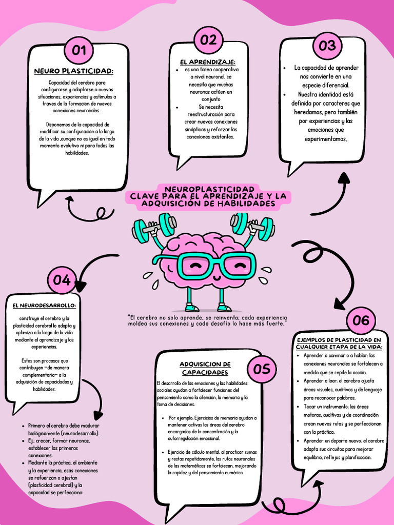 Documento A4 Esquema Mapa Mental Infantil Rosa y Blanco | PDF | Aprendizaje | Cerebro