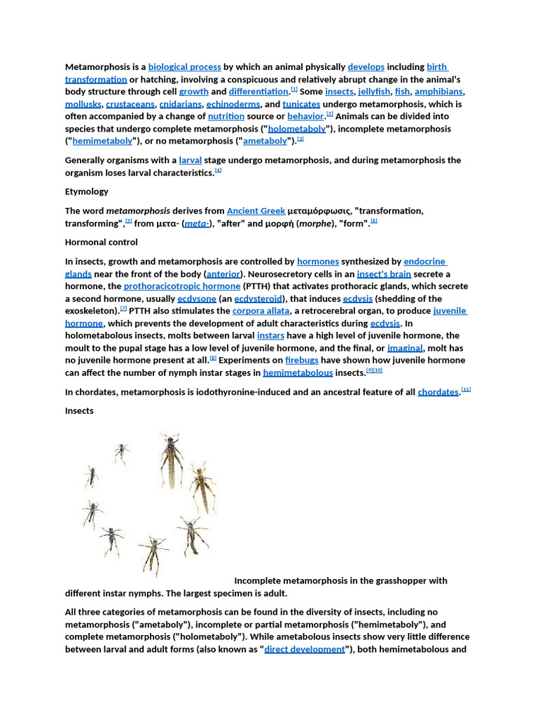 insect metamorphosis 290404 | PDF | Zoology
