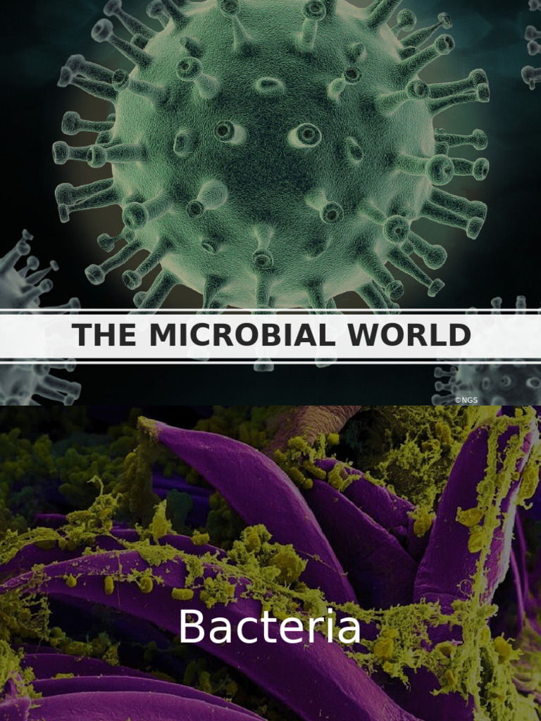 3. PowerPoint the Microbial World | PDF | Virus | Cell (Biology)