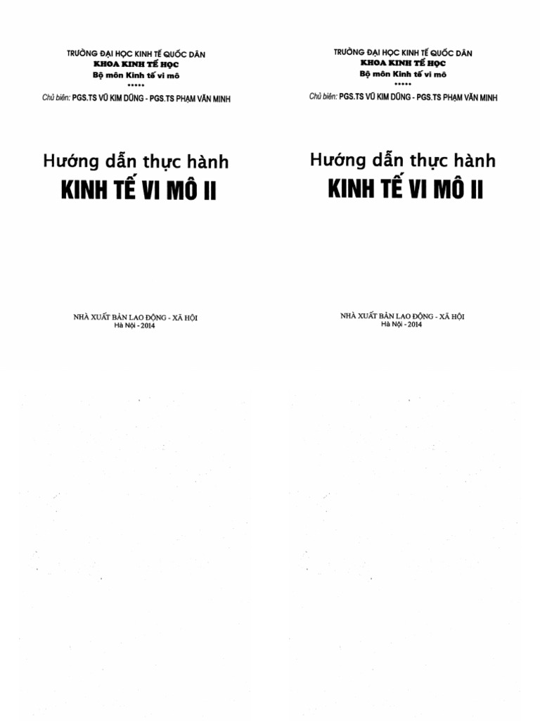 Huong Dan Thuc Hanh Kinh Te Vi Mo II KHO A4 Phong 104% | PDF