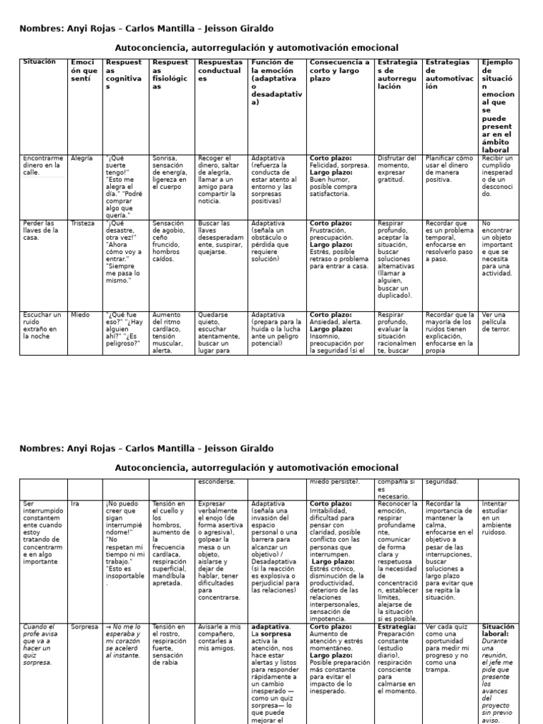 Matriz Parcial Anyi Carlos Jeisson | PDF | Las emociones | Autorregulación emocional