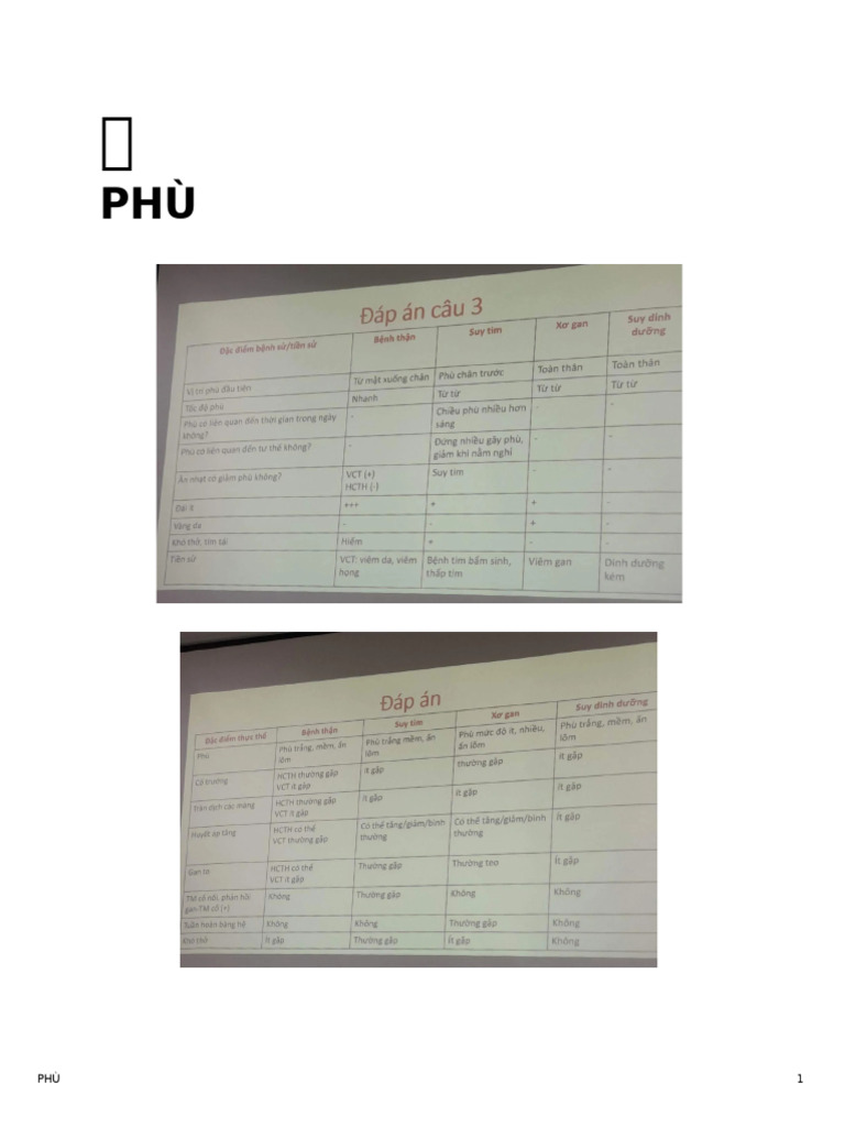 Phù | PDF