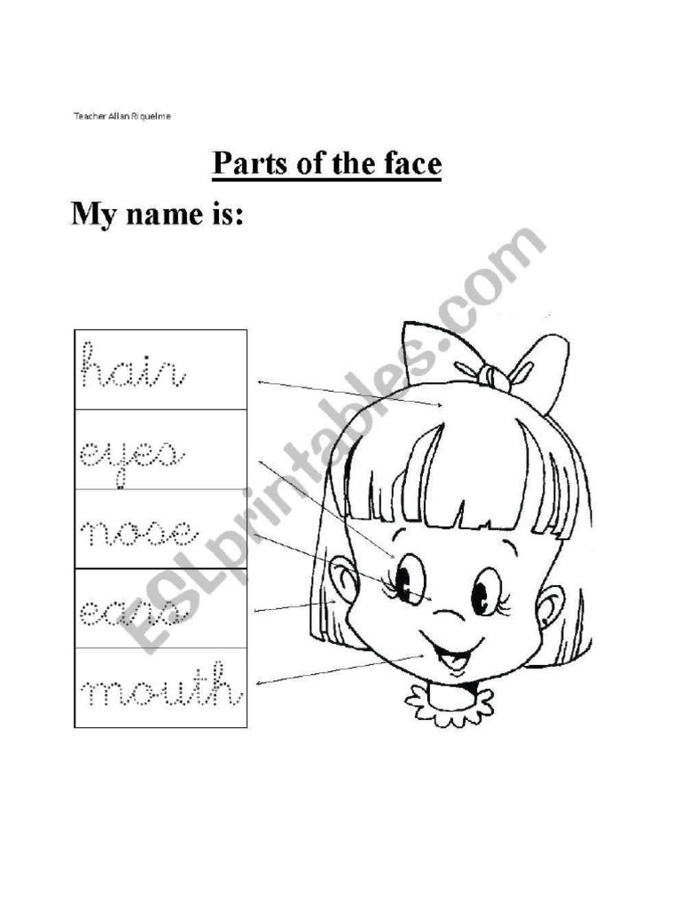 My Face | PDF
